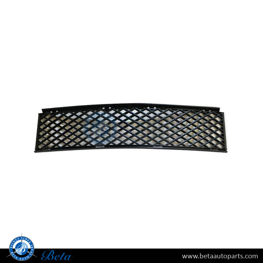 BMW 7 Series E65 LCI (2006-2008), Front Bumper Lower Grille (Center ...