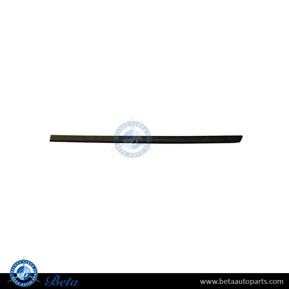 BMW X5 E70 (2007-2013), Rear Door Moulding (Left), Taiwan, 51137158535 ...